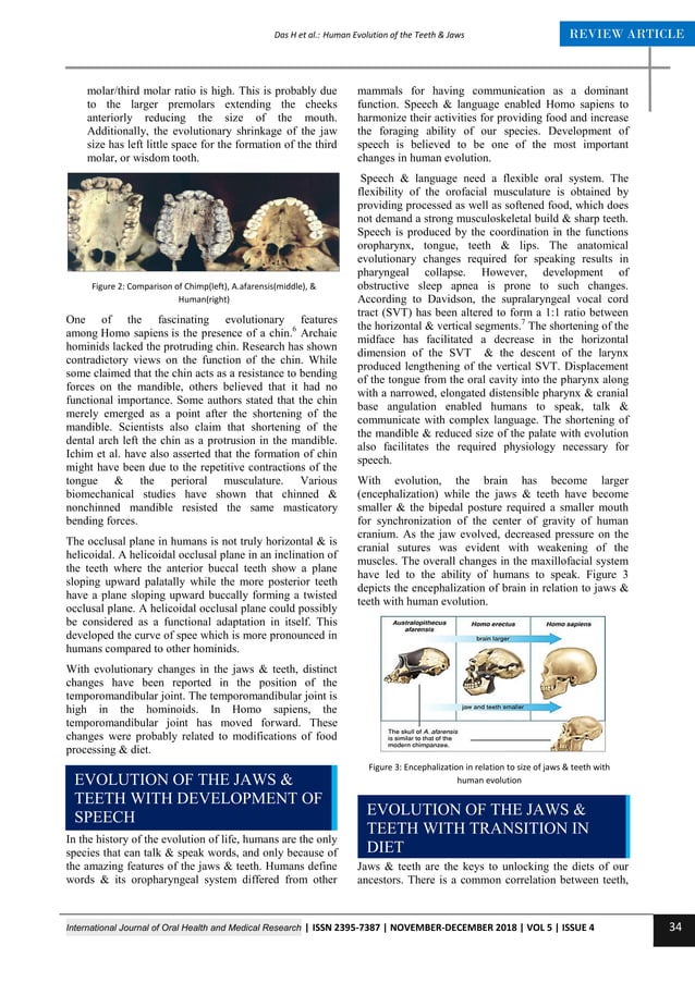 Human Evolution of the Teeth & Jaws: A Mouthful of History ...