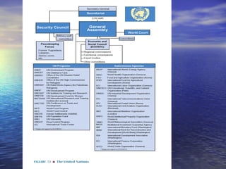 International Organization united nations | PPT