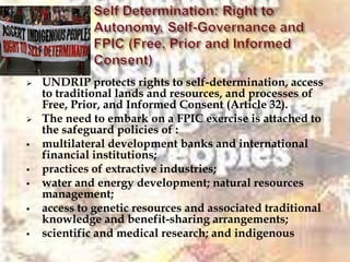 Rights of Indigenous people- metamorphosing CSR | PPTX