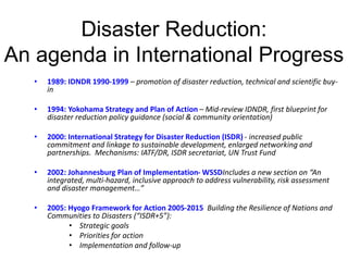 International Norms in Disaster Risk Reduction by Roberto Aponte Toro ...