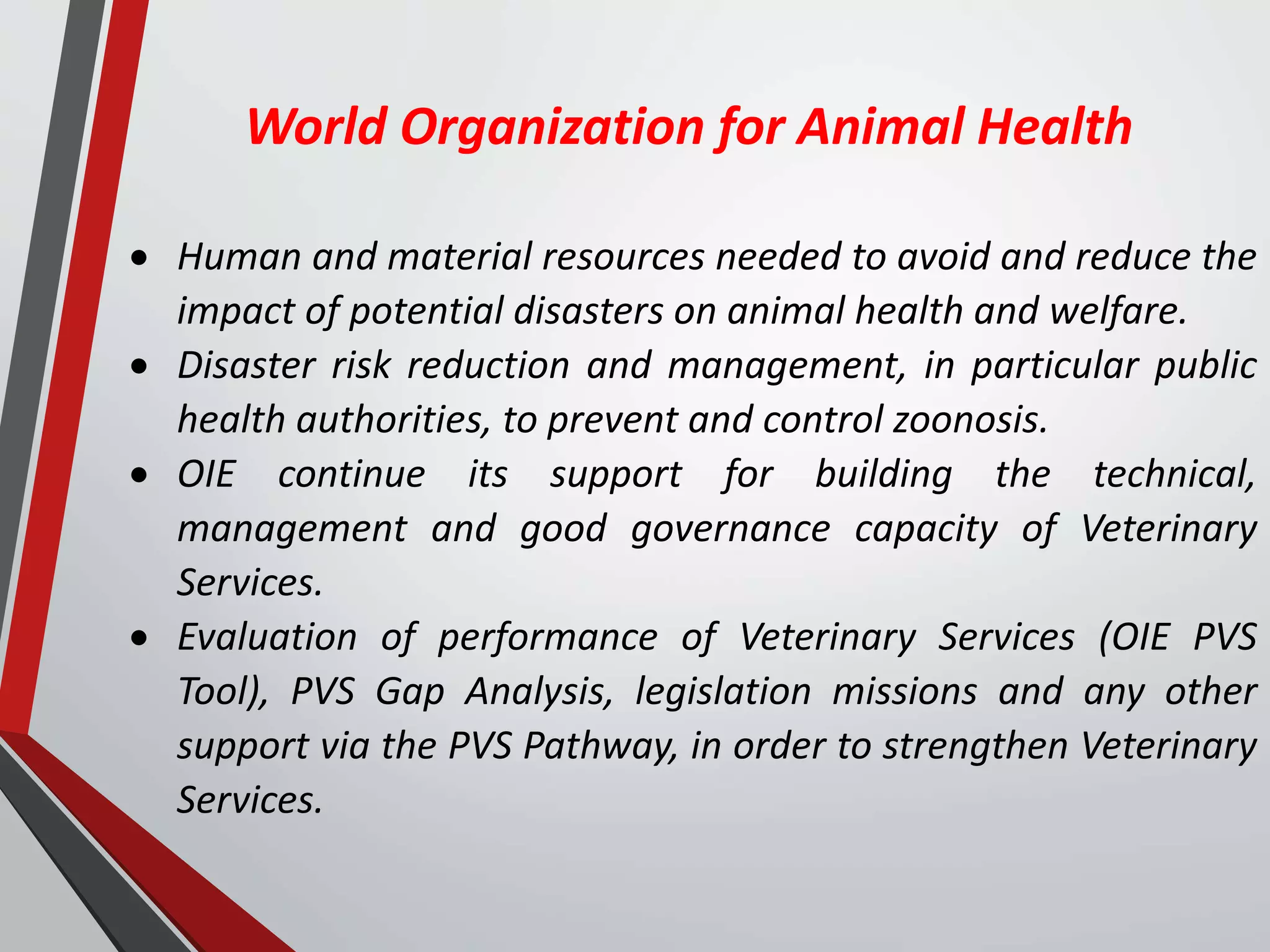 International organizations in disaster management | PPTX