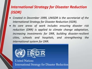 International organizations in disaster management | PPTX