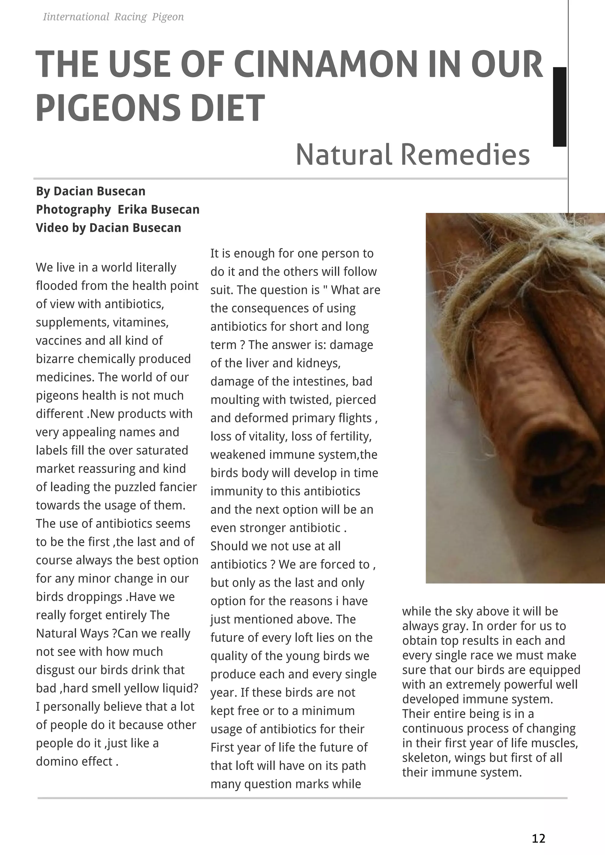 International Racing Pigeon Magazine | PDF