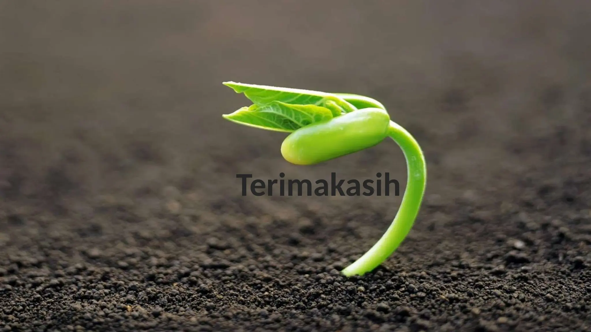 What is a International seminar and keys aspect.pptx