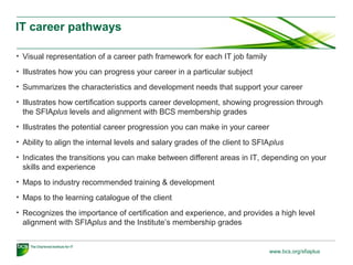 International skills and competency framework | PPT