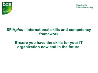 International skills and competency framework | PPT
