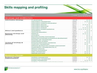 International skills and competency framework | PPT