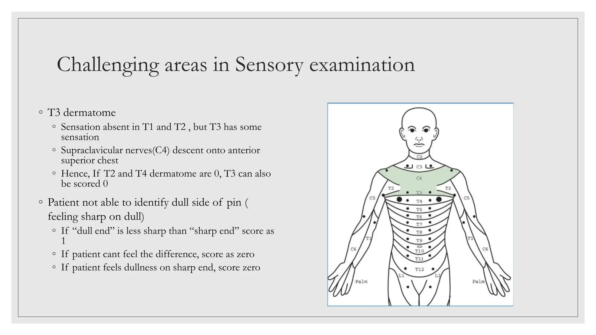 International standards for neurological classification of spinal cord ...