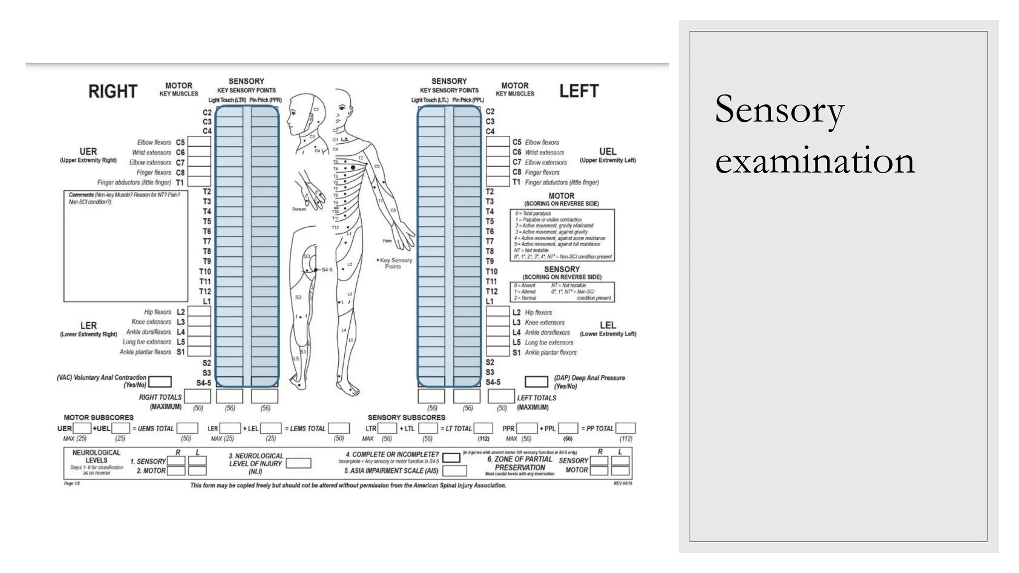 International standards for neurological classification of spinal cord ...