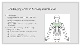 International standards for neurological classification of spinal cord ...