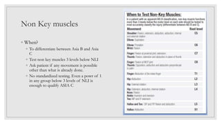 International standards for neurological classification of spinal cord ...