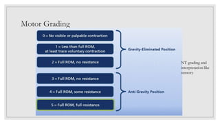 International standards for neurological classification of spinal cord ...