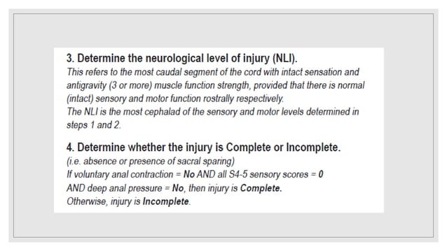 International standards for neurological classification of spinal cord ...