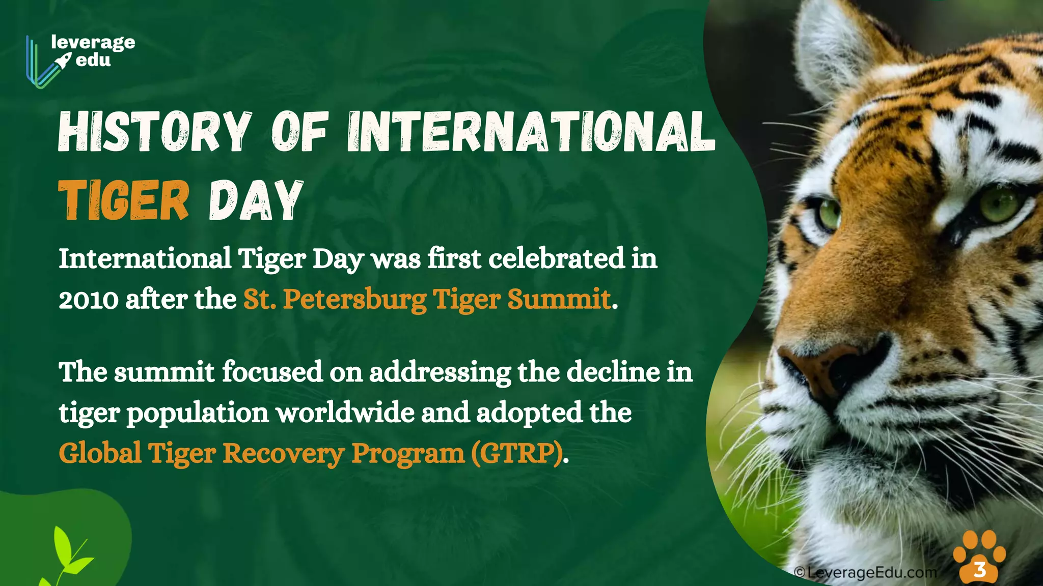 International Tiger Day | PPTX