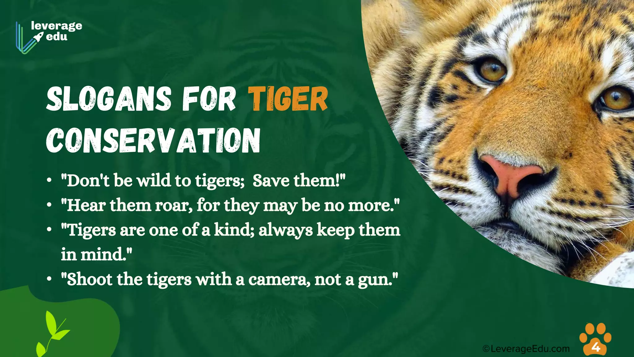 International Tiger Day | PPTX