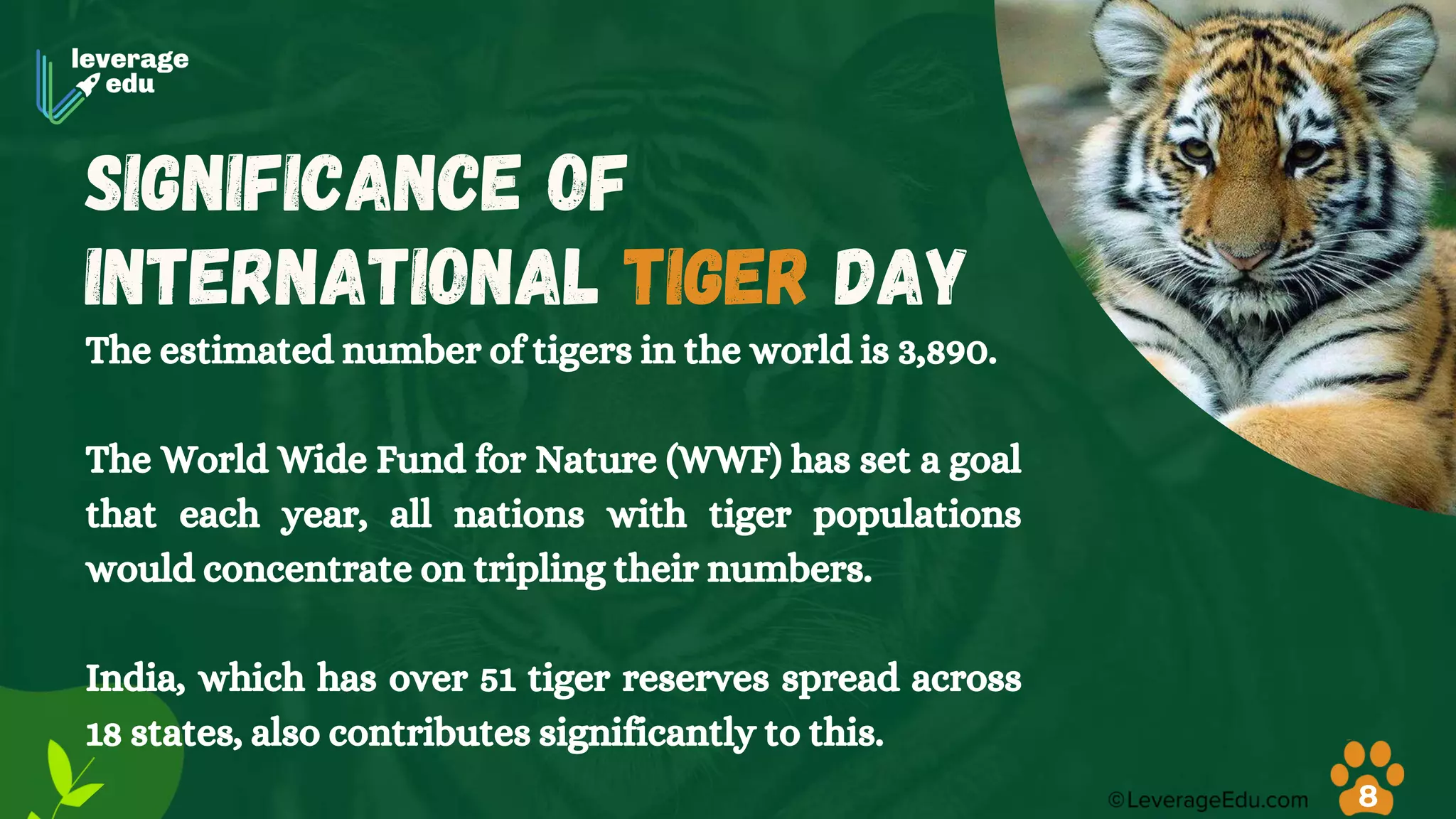 International Tiger Day | PPTX