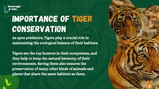 International Tiger Day | PPTX