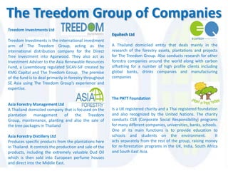 International Sales presentation | PPT