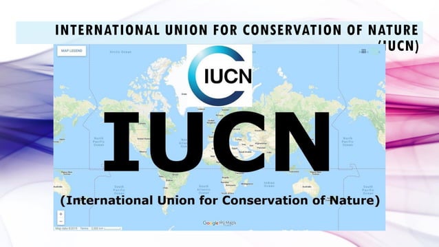 Understanding the Role of IUCN in Conservation | PPT