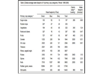 Water Footprint Presentation | PPTX