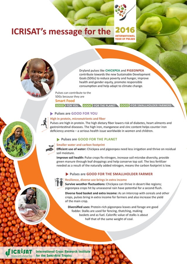 ICRISAT message for International Year of Pulses 2016 ‪#‎IYP‬ ‪#‎IYP2016‬ | PDF | Agriculture ...