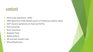 Internatonal agreements | PPTX