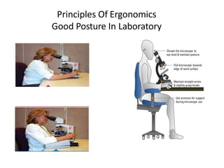Ergonomics healthcare professinals | PPTX