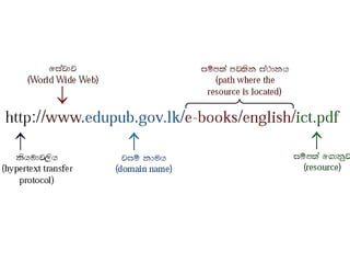 Internet and Email -O/L ICT | PDF