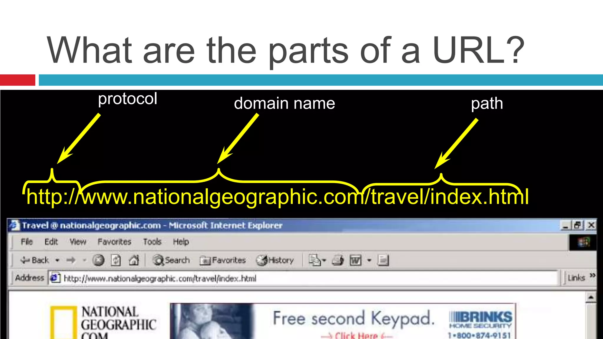 Internet basics | PPTX