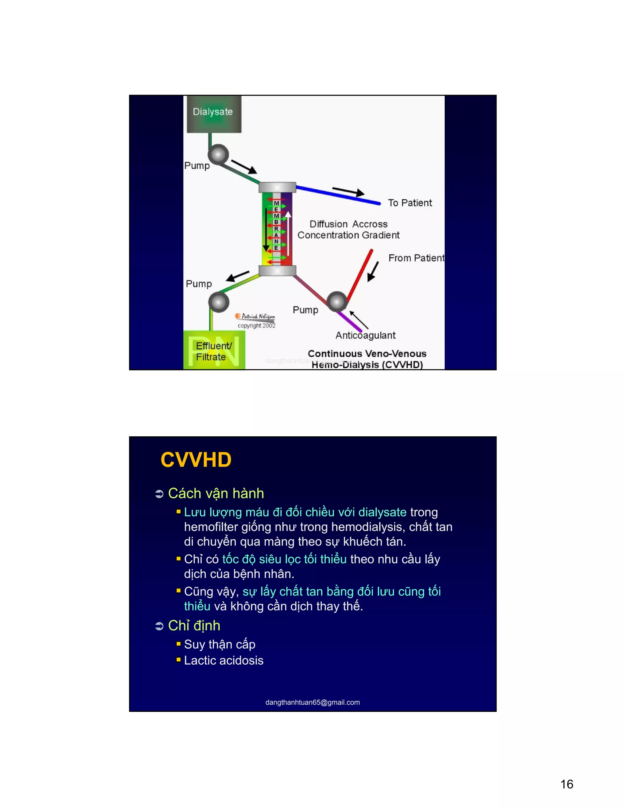 Internet dieu tri thay the than crrt-vn | PDF