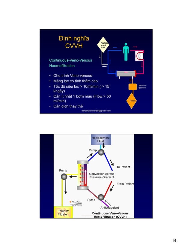 Internet dieu tri thay the than crrt-vn | PDF