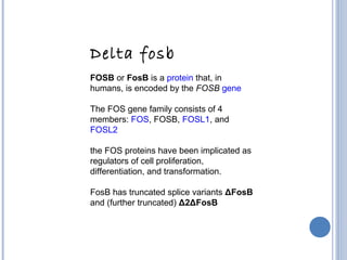 Internet addiction detection test kit | PPT