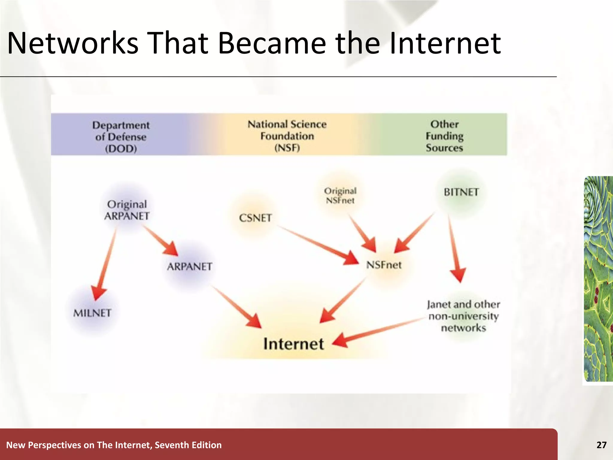 The Internet and the World Wide Web | PPT