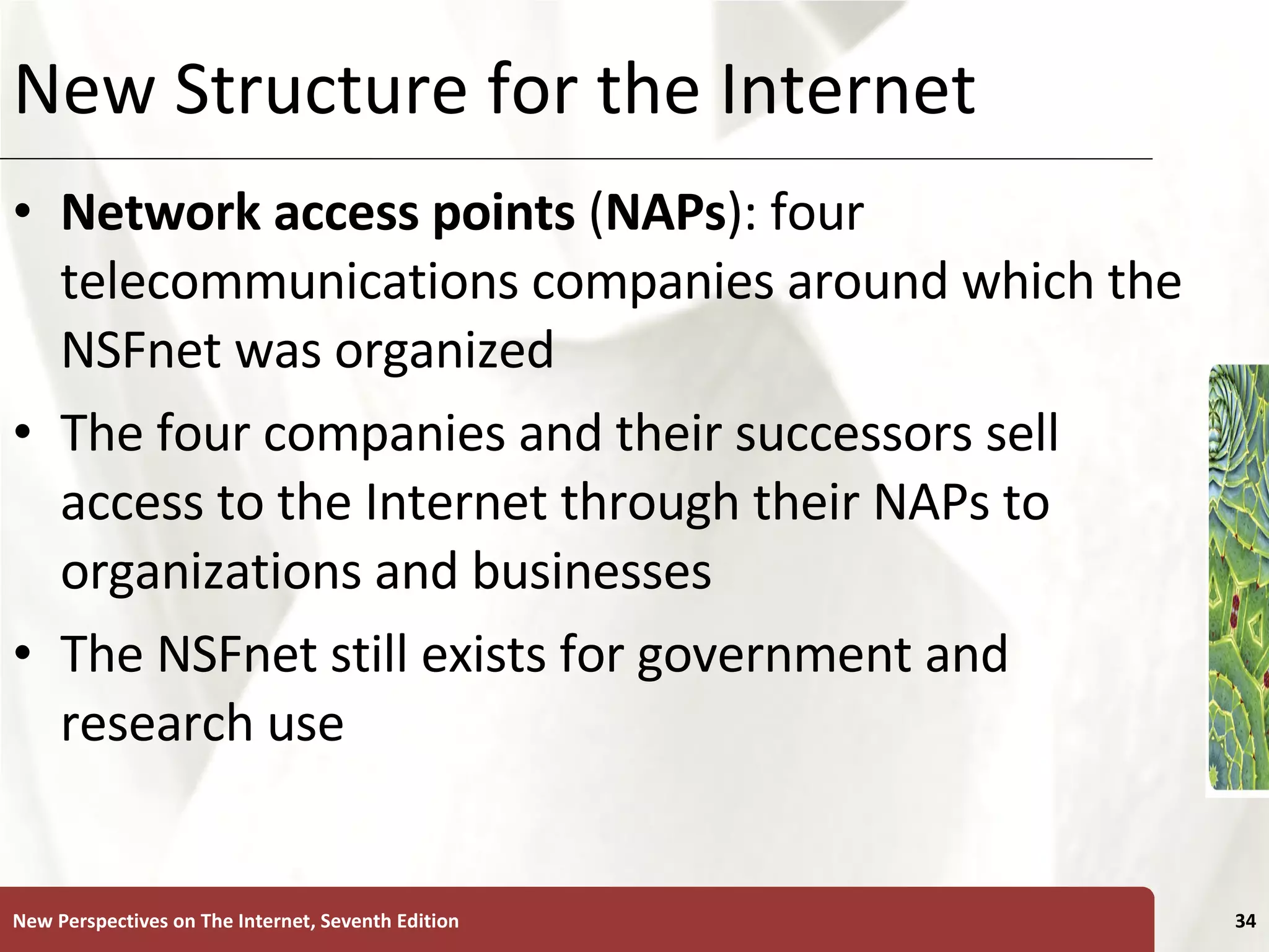 The Internet and the World Wide Web | PPT