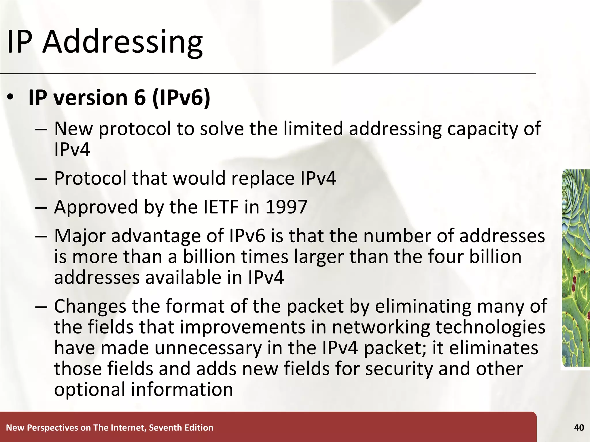 The Internet and the World Wide Web | PPT