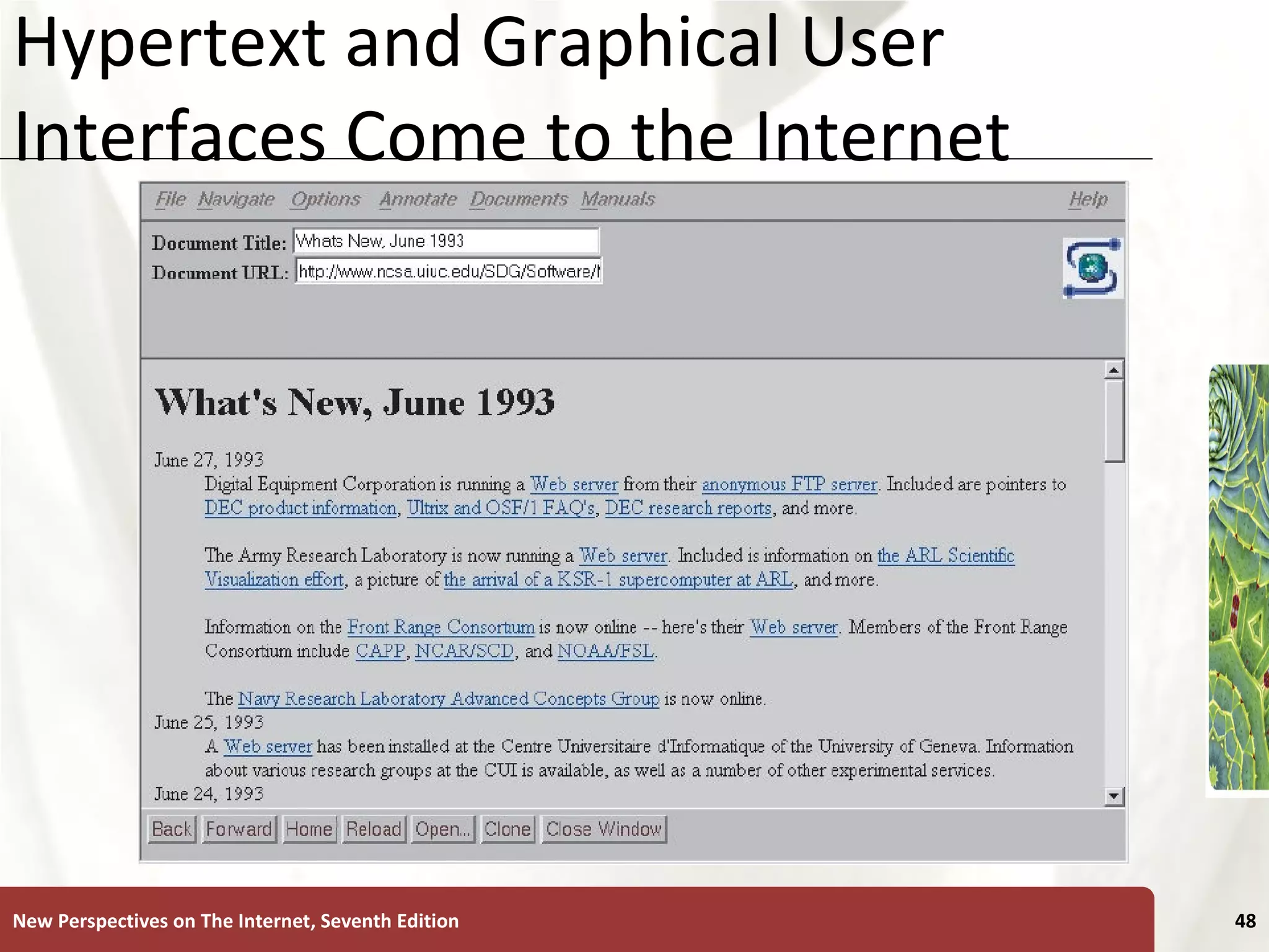 The Internet and the World Wide Web | PPT