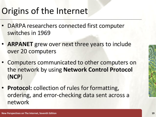 The Internet and the World Wide Web | PPT