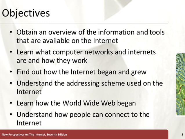 The Internet and the World Wide Web | PPT