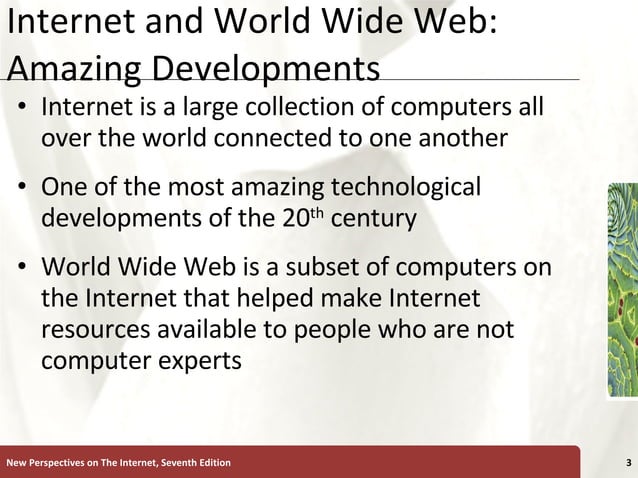 The Internet and the World Wide Web | PPT