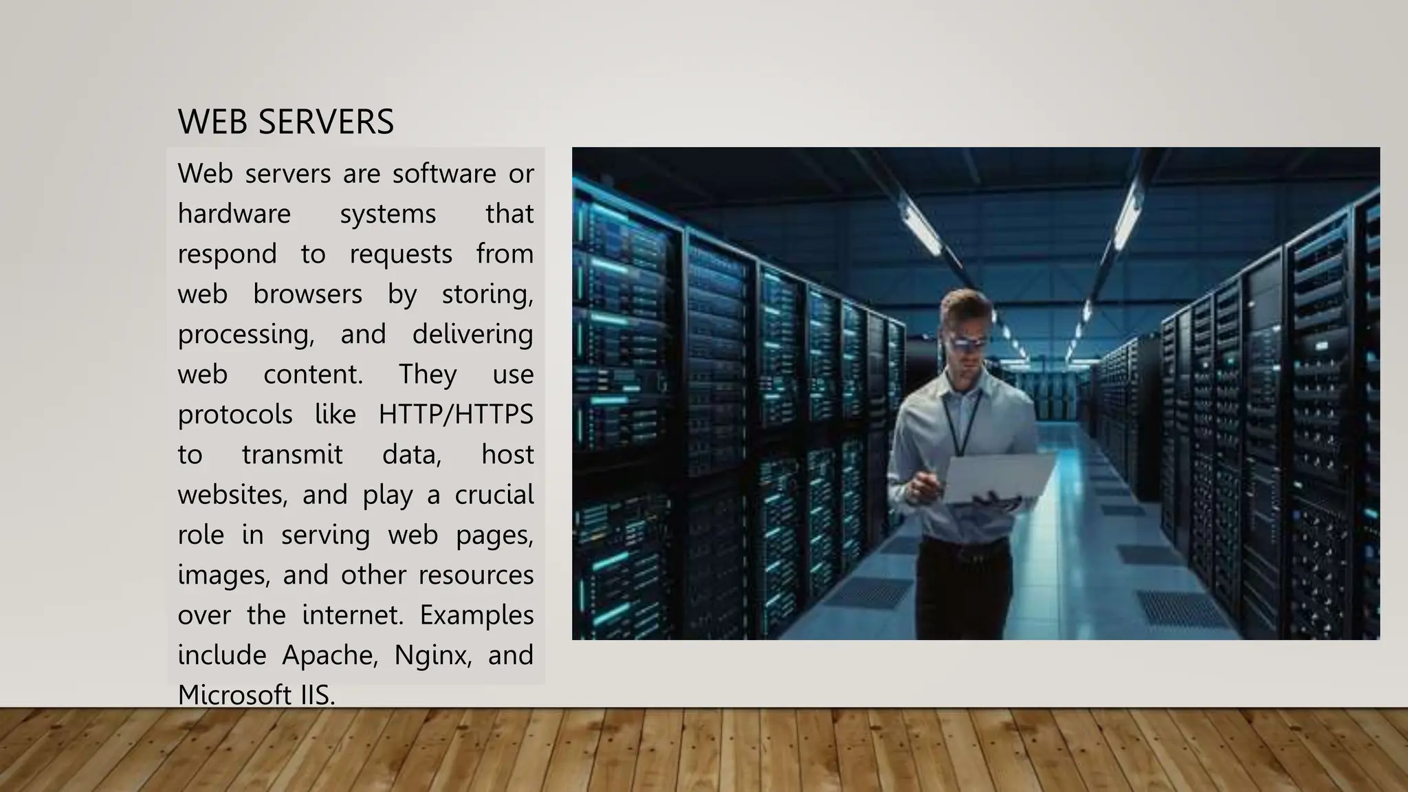 Internet Basics Notes Class 10 CBSE.pptx
