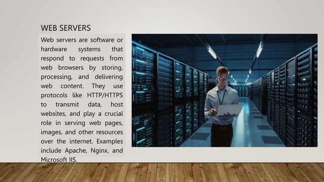 Internet Basics Notes Class 10 CBSE.pptx