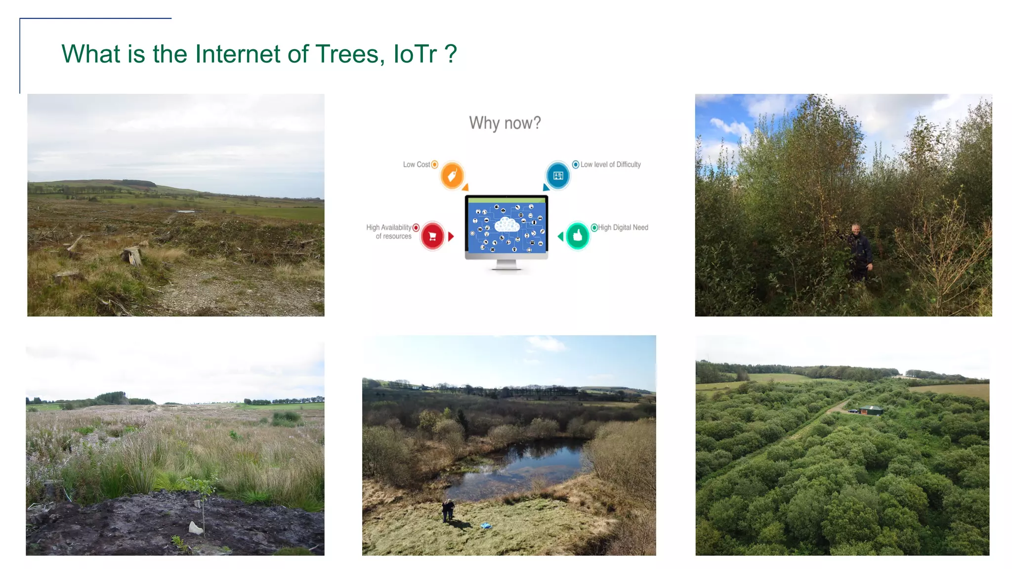 The Internet of Trees (IoTr) and is the IoT really sustainable? | PPT