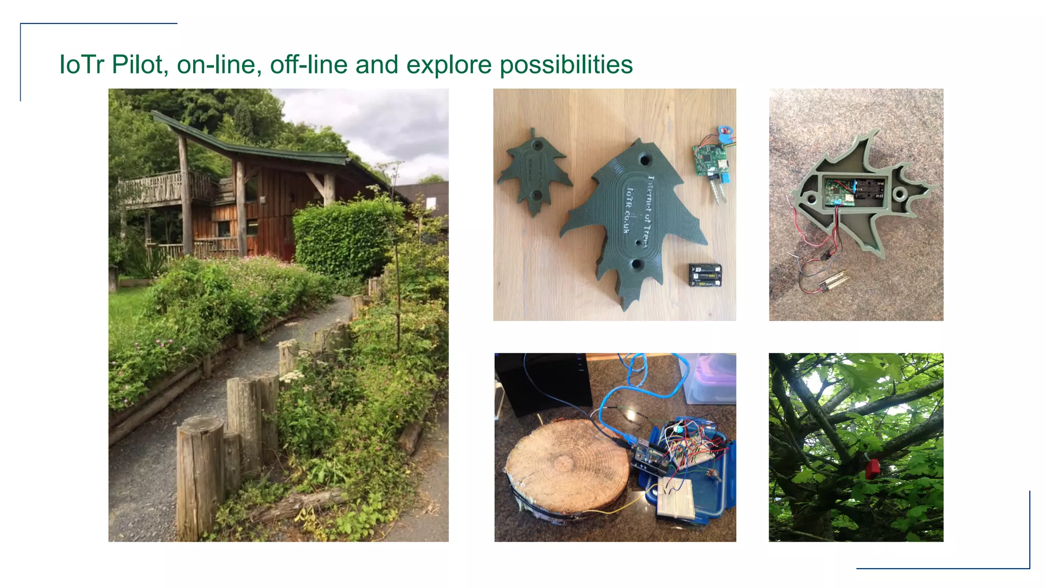 The Internet of Trees (IoTr) and is the IoT really sustainable? | PDF