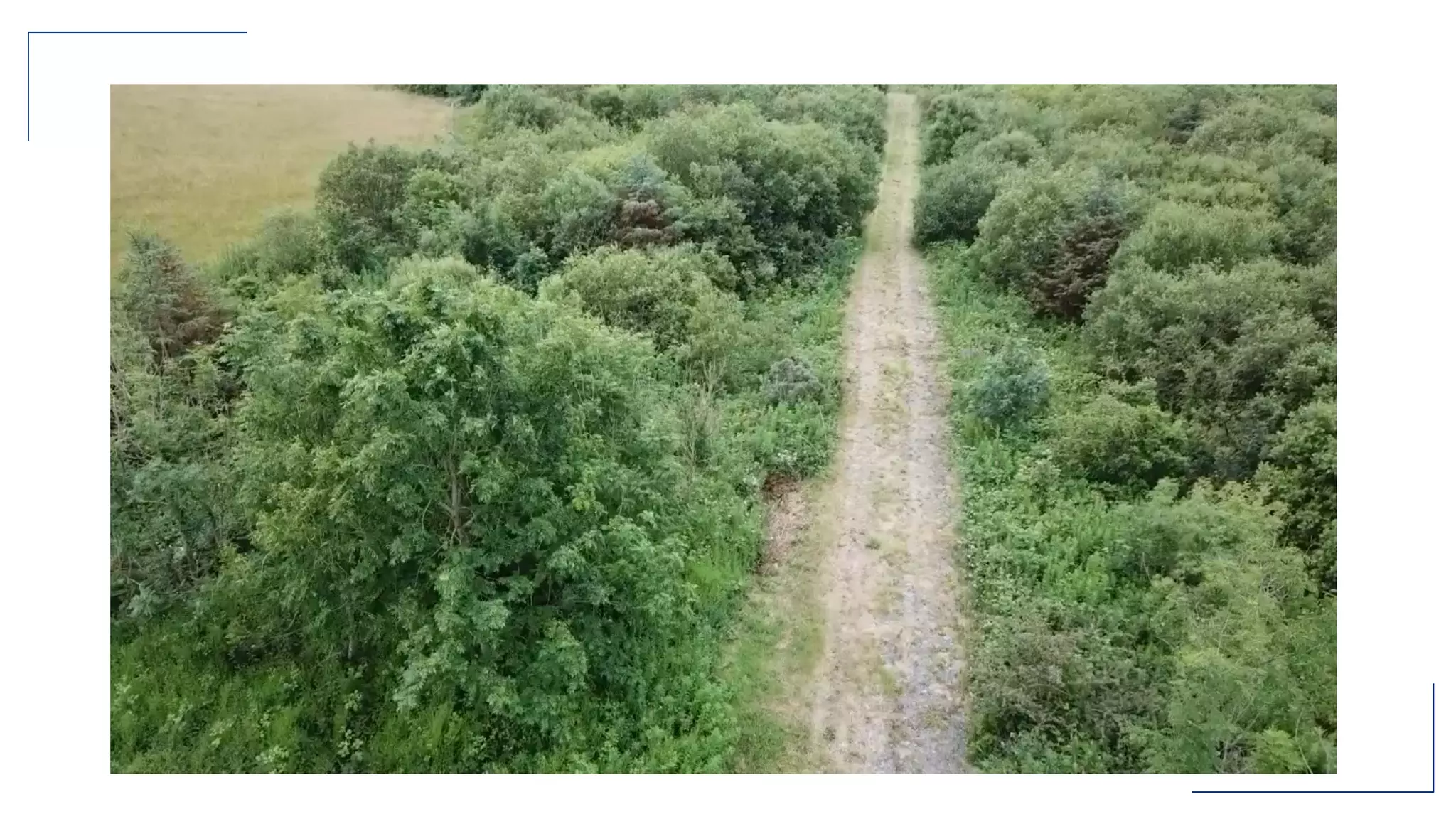 The Internet of Trees (IoTr) and is the IoT really sustainable? | PDF