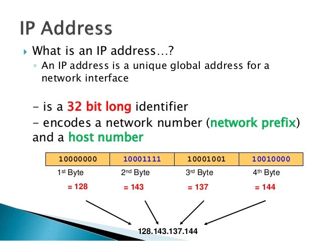 Internet protocol (ip) ppt