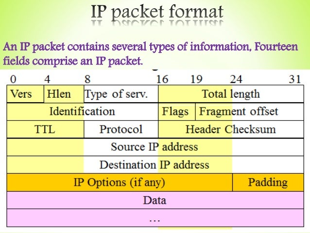 Internet protocols Report Slides