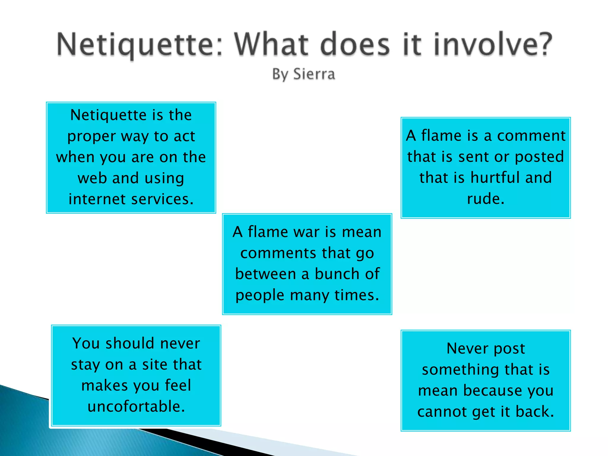 Internet Safety Netiquette Ned | PPTX