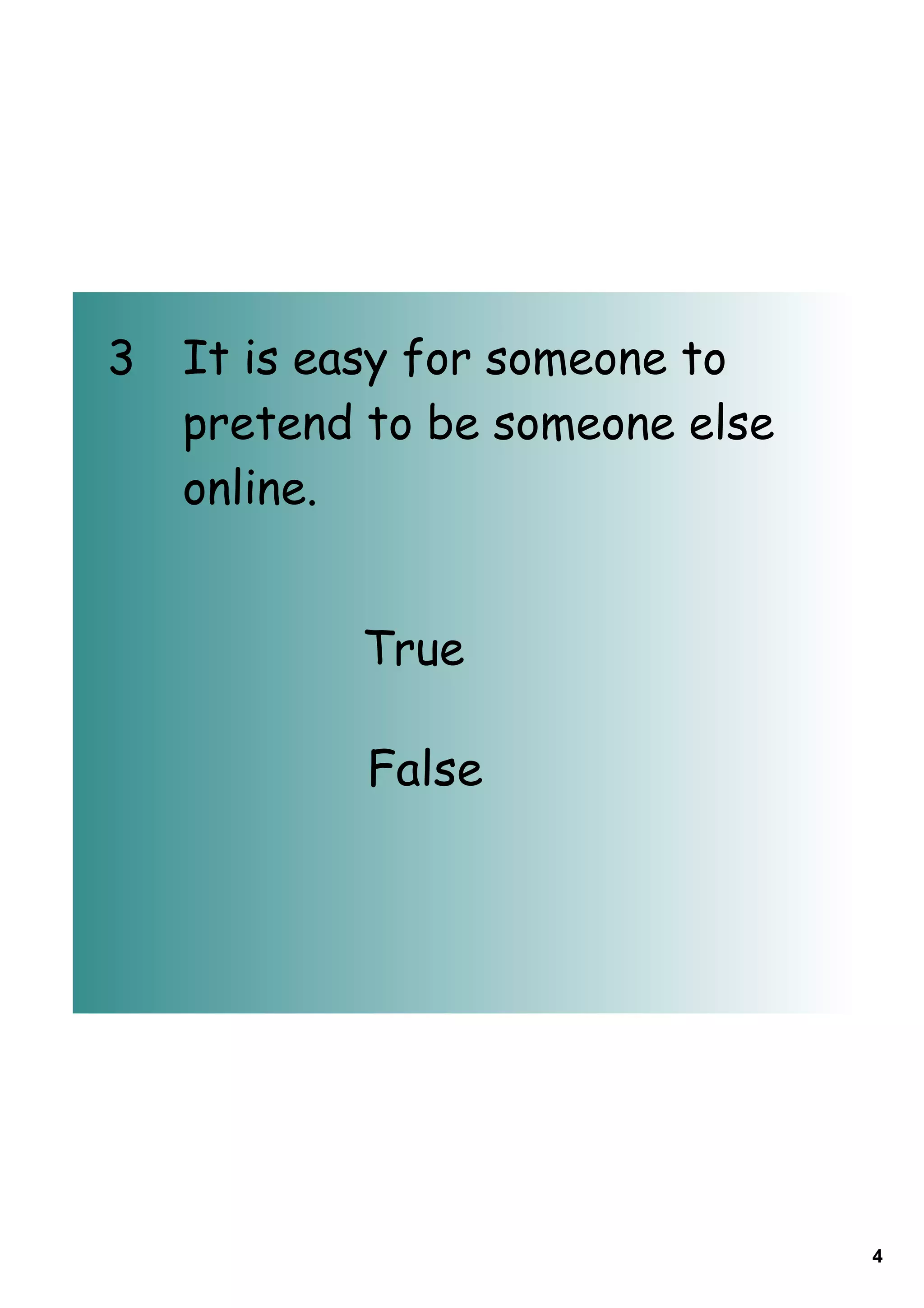 Internet Safety Lesson Quiz | PDF