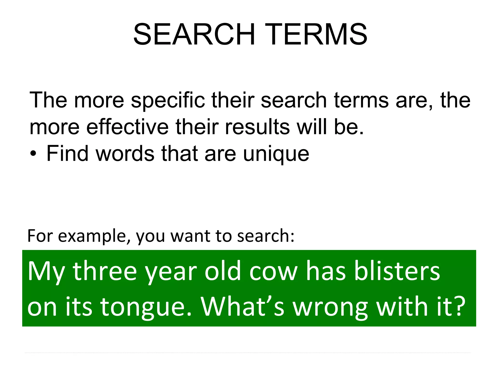 Internet Search Presentation | PPTX