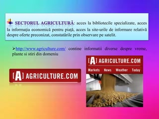 Internetul - despre internet | PPTX